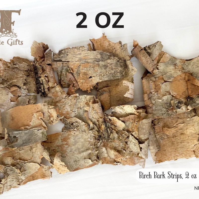 Birch Bark Sheets - Etsy