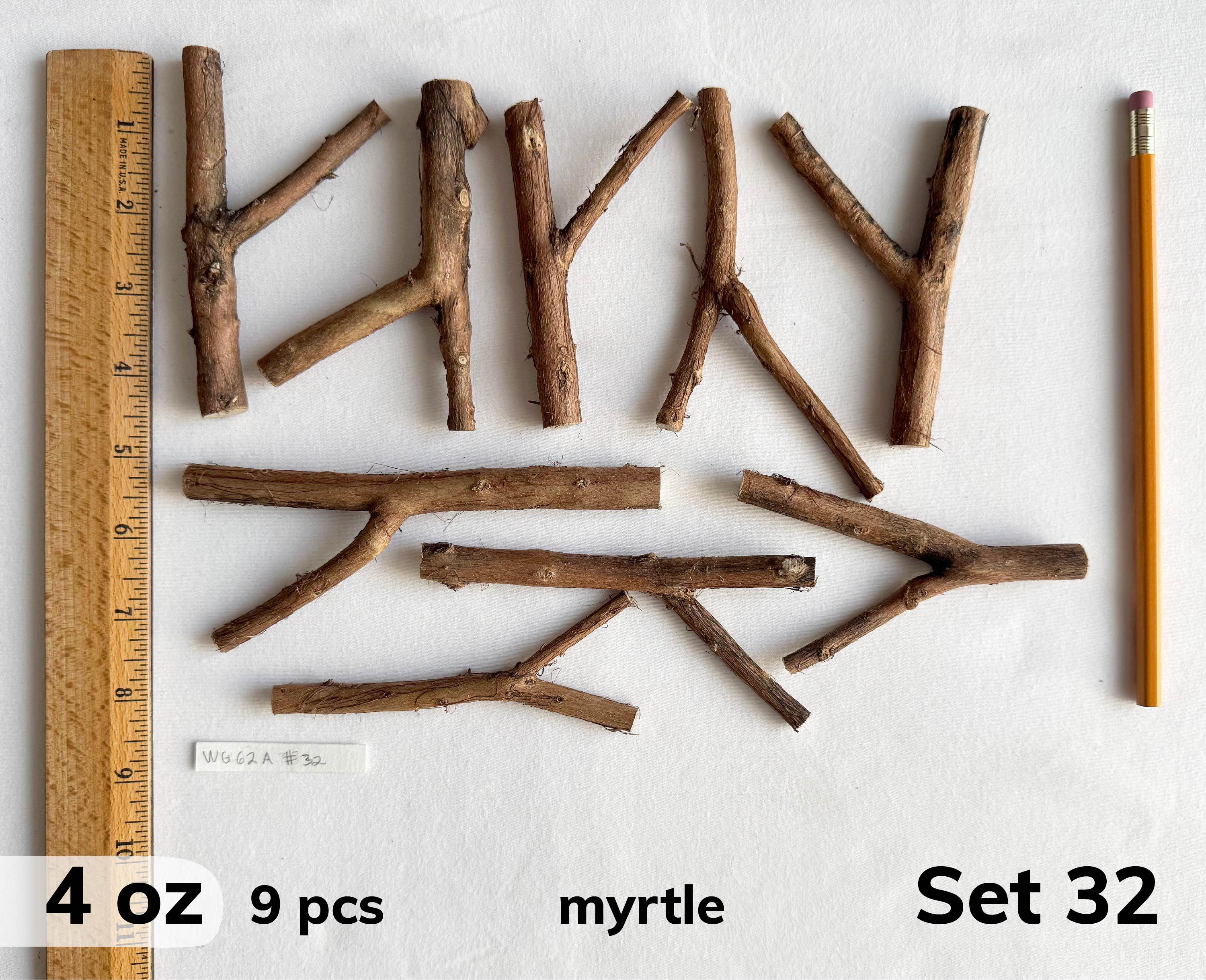 SCRAP Mini Forked Branches, Forked Tip Limbs, Assorted Sticks With Fork ...