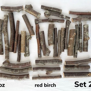 SCRAP Mini Wood Sticks 8 Oz, Red Birch Branches, Seconds Wooden Twigs ...