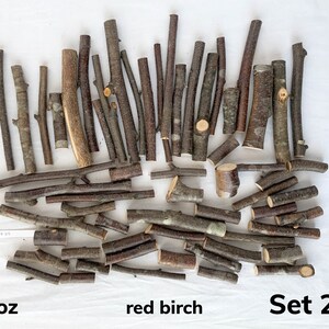 SCRAP Mini Wood Sticks 8 Oz, Red Birch Branches, Seconds Wooden Twigs ...