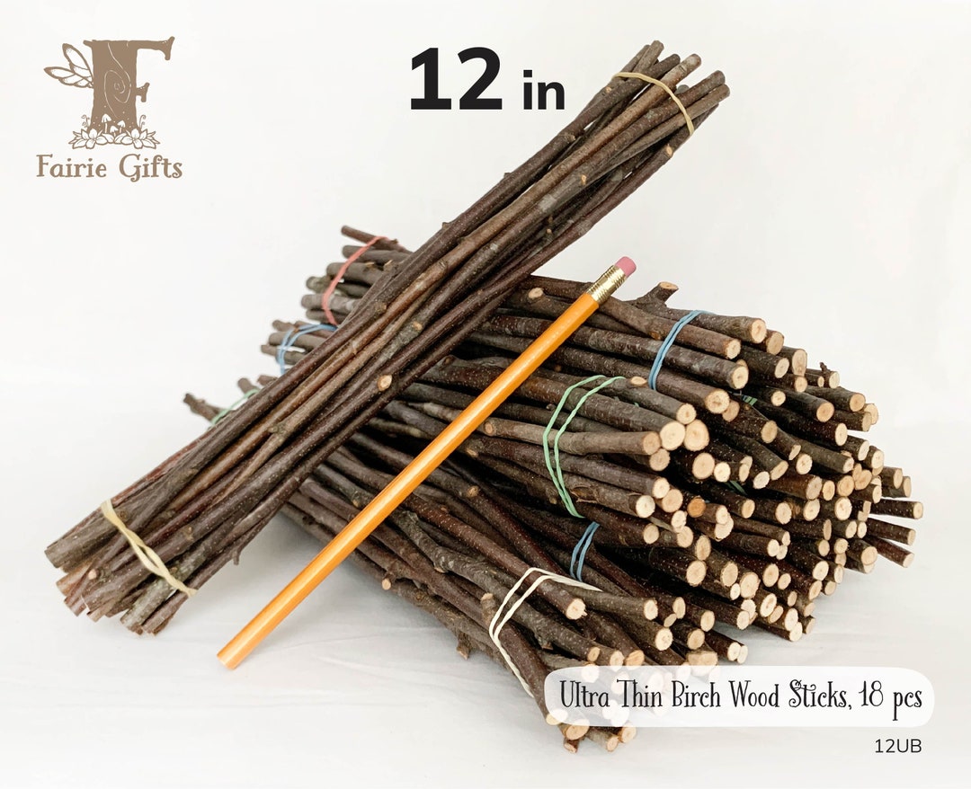 Ultra Thin Wood Sticks 12 In, Red Birch Branches 18 Ct, Dried Wooden ...