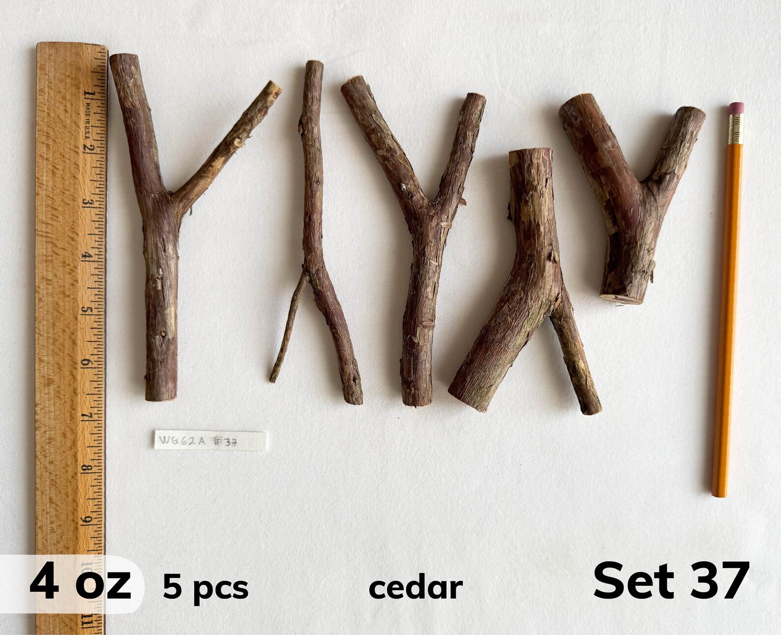 SCRAP Mini Forked Branches, Forked Tip Limbs, Assorted Sticks With Fork ...