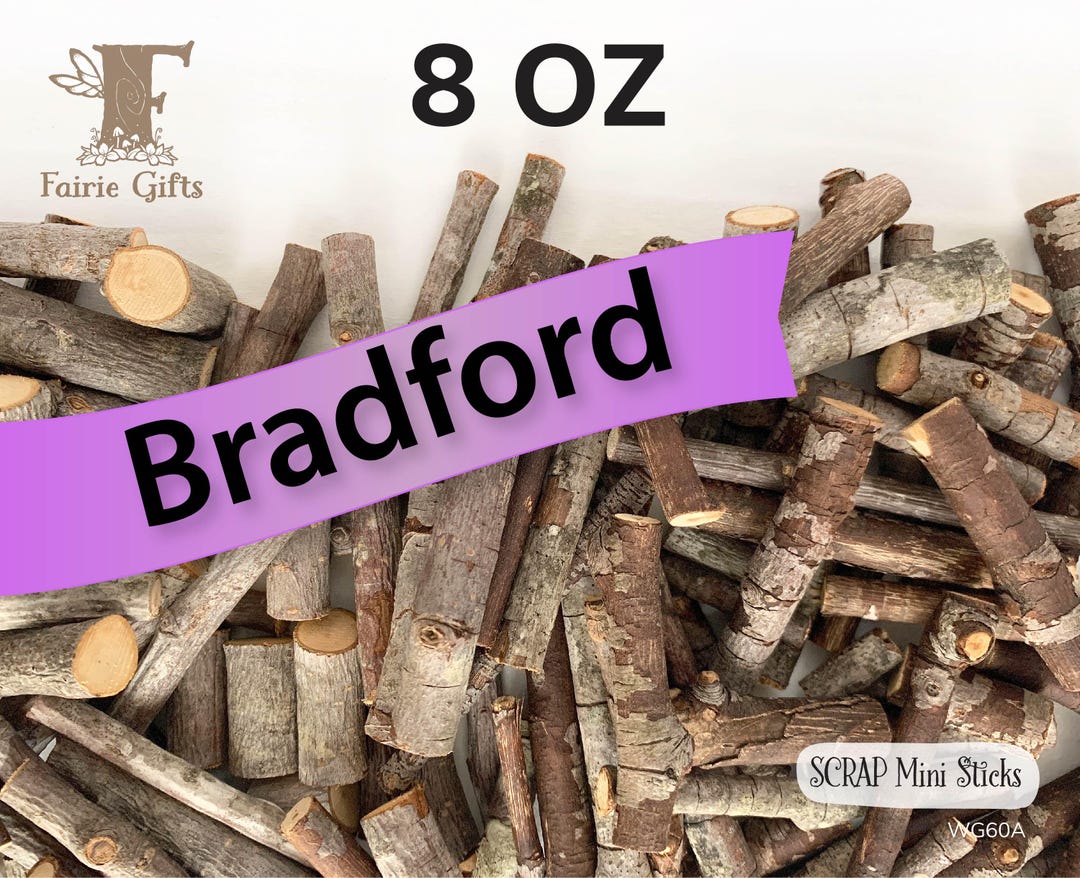 SCRAP Mini Wood Sticks 8 Oz, Bradford Branches, Seconds Wooden Twigs ...