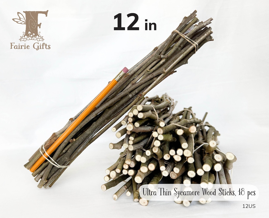 Ultra Thin Wood Sticks 12 In, Sycamore Wooden Sticks 18 Ct, Twig Bundle ...