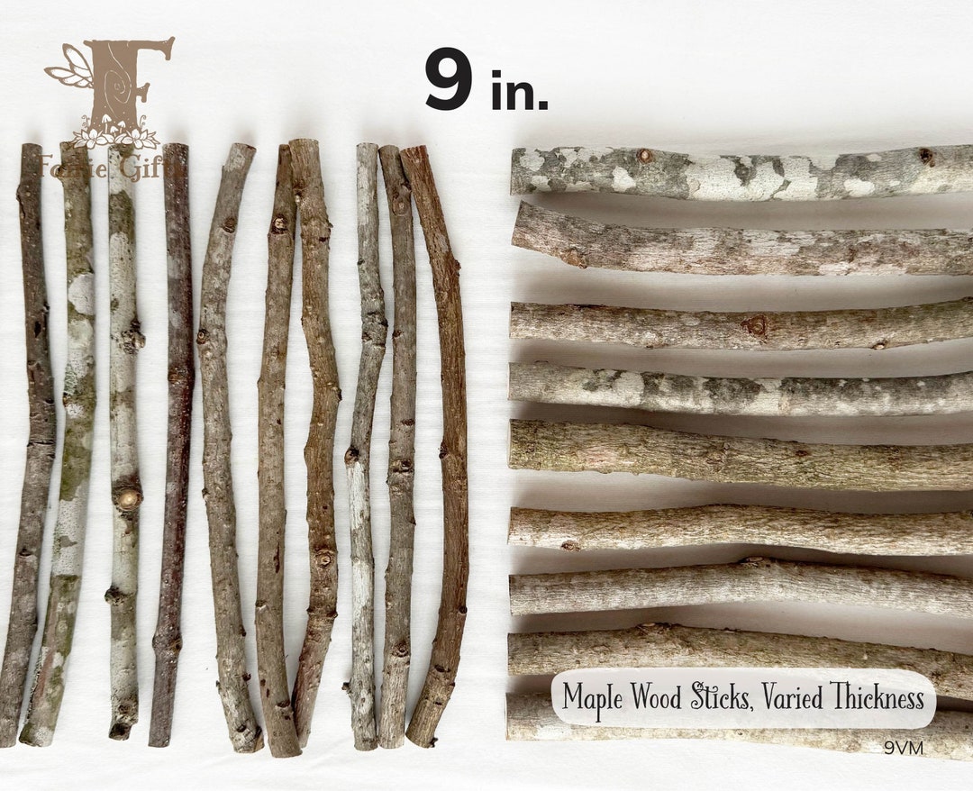 Wood Sticks 9 In, Maple Branches 5-24 Ct, Dried Wooden Sticks, Twig ...