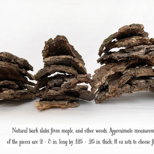 Maple Bark 11-11.5 Oz, Natural Bark Flats, Hardwood Bark, Curvy Bark ...
