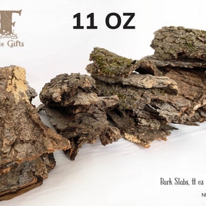 Maple Bark 11-11.5 Oz, Natural Bark Flats, Hardwood Bark, Curvy Bark ...