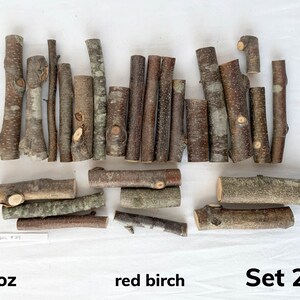SCRAP Mini Wood Sticks 8 Oz, Red Birch Branches, Seconds Wooden Twigs ...