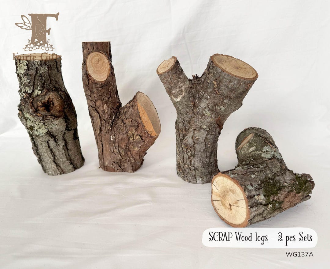 SCRAP Wood Logs 2ct, Seconds Wood for Crafts, Assorted Tree Branches ...