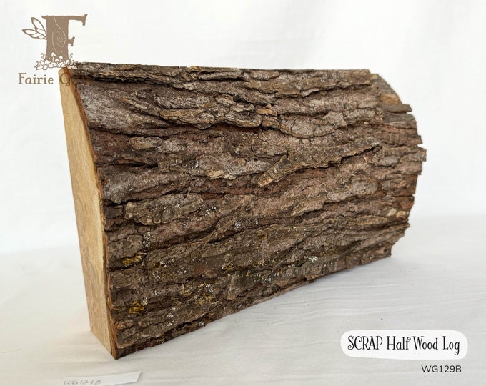 SCRAP Half Wood Log, Seconds Wood for Crafts, Decorative Hardwood ...