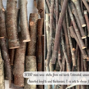 SCRAP Mini Wood Sticks 8 Oz, Red Birch Branches, Seconds Wooden Twigs ...