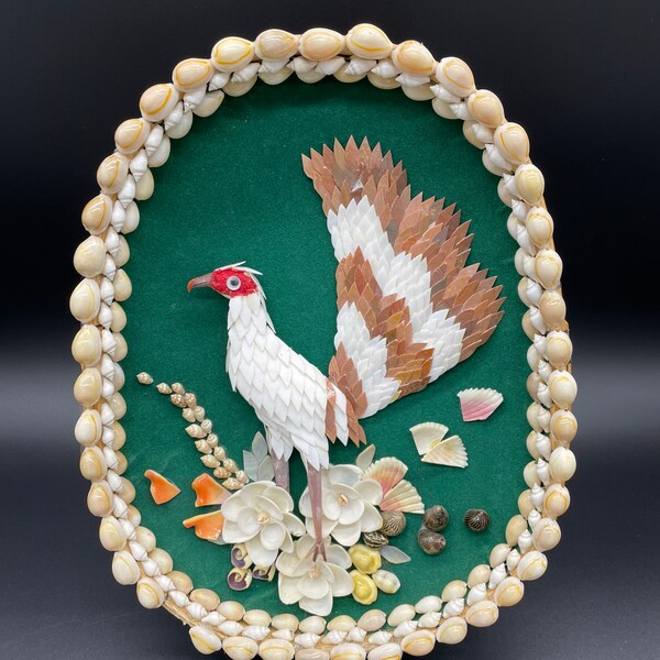 Seashells Art - Etsy