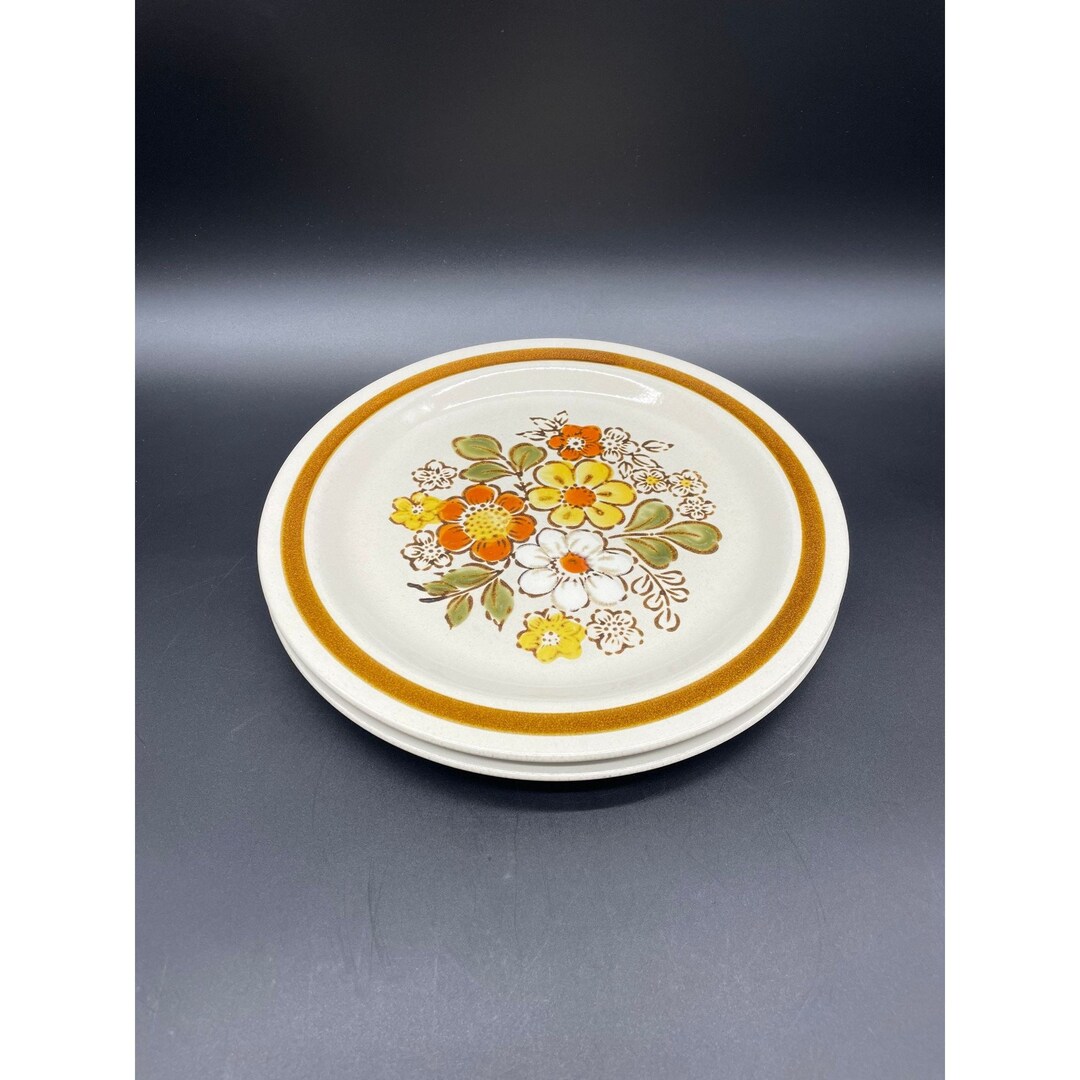 Stoneware Dinner Plates Vintage Pottery Japan Pebble Stone Sigma ...