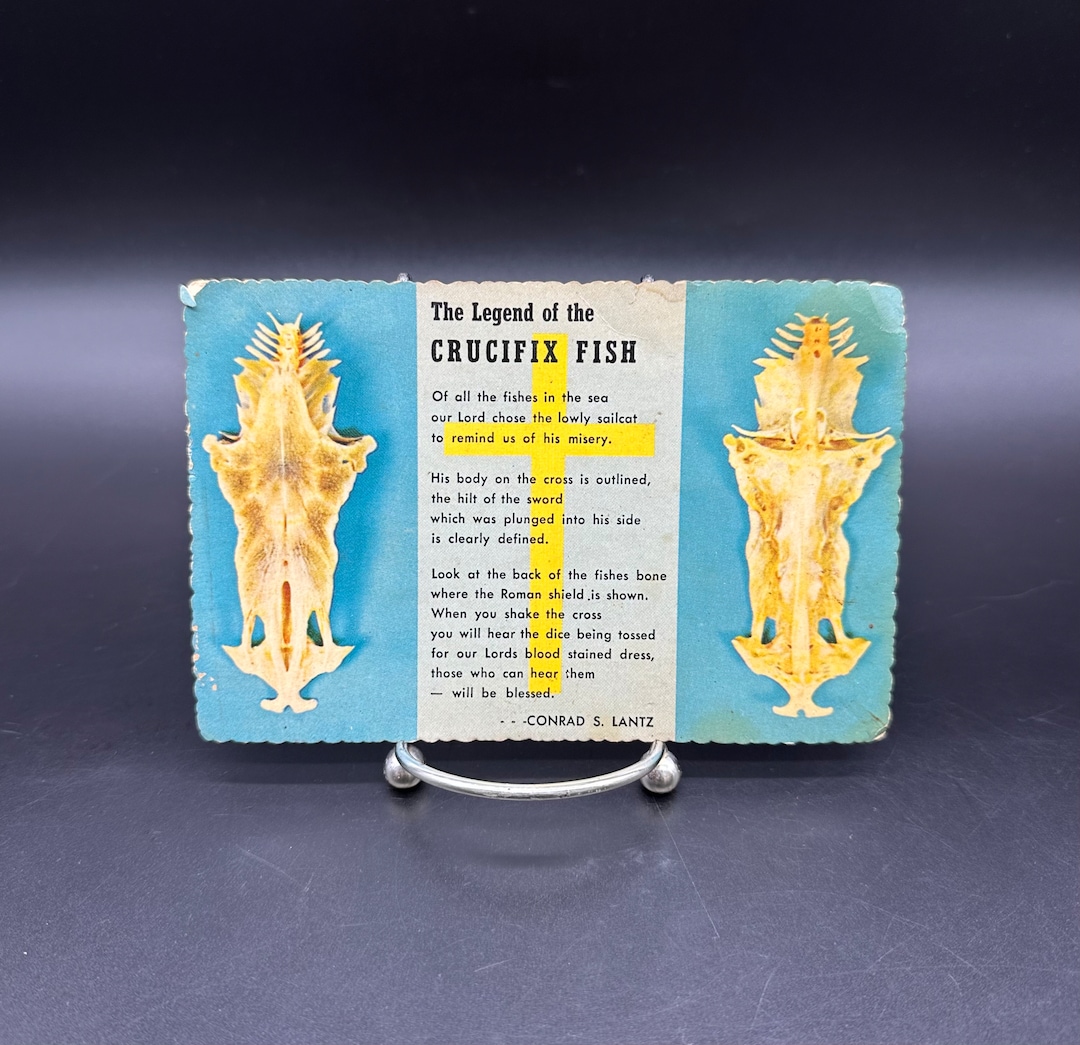 Vintage Postcard Religious Crucifix Fish Conrad Lantz Oddity Ocean ...
