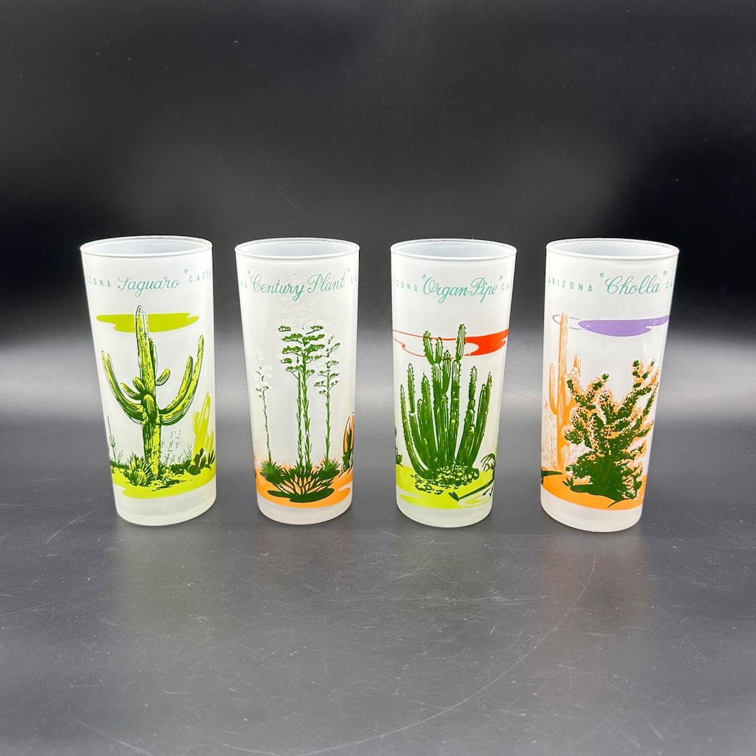 Vintage Blakely Oil Gas Arizona Cactus Frosted Highball Glasses ...