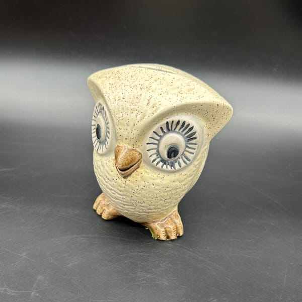 Owl Coin Bank - Etsy