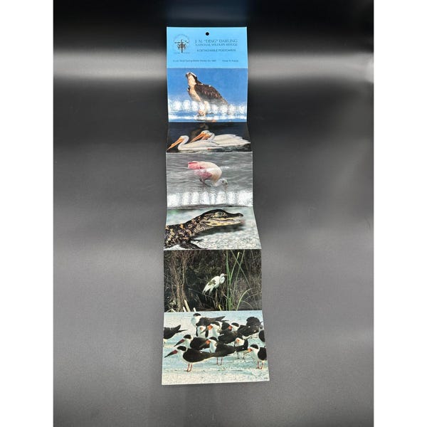 1992 Postcard - Etsy