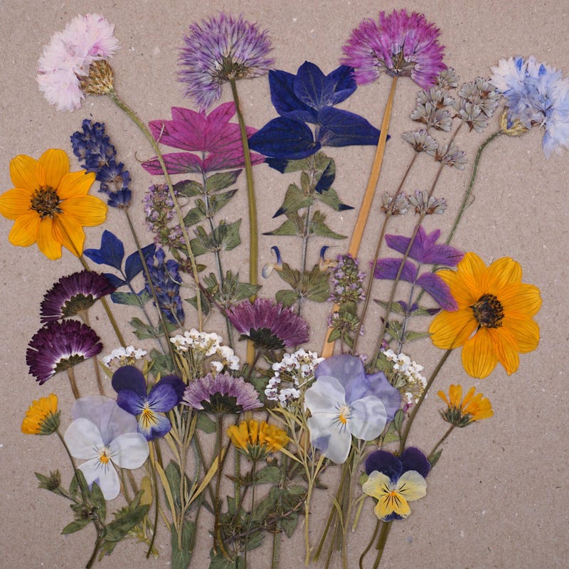 Flowers for Cake Dried - Etsy UK