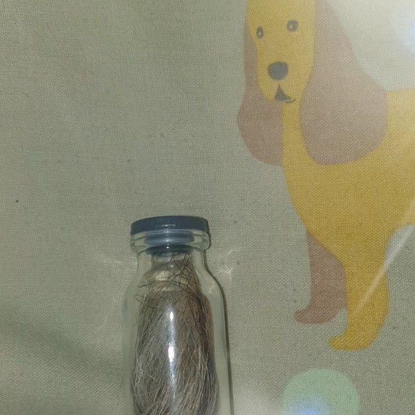 Fur Clipping Dog Memorial - Etsy