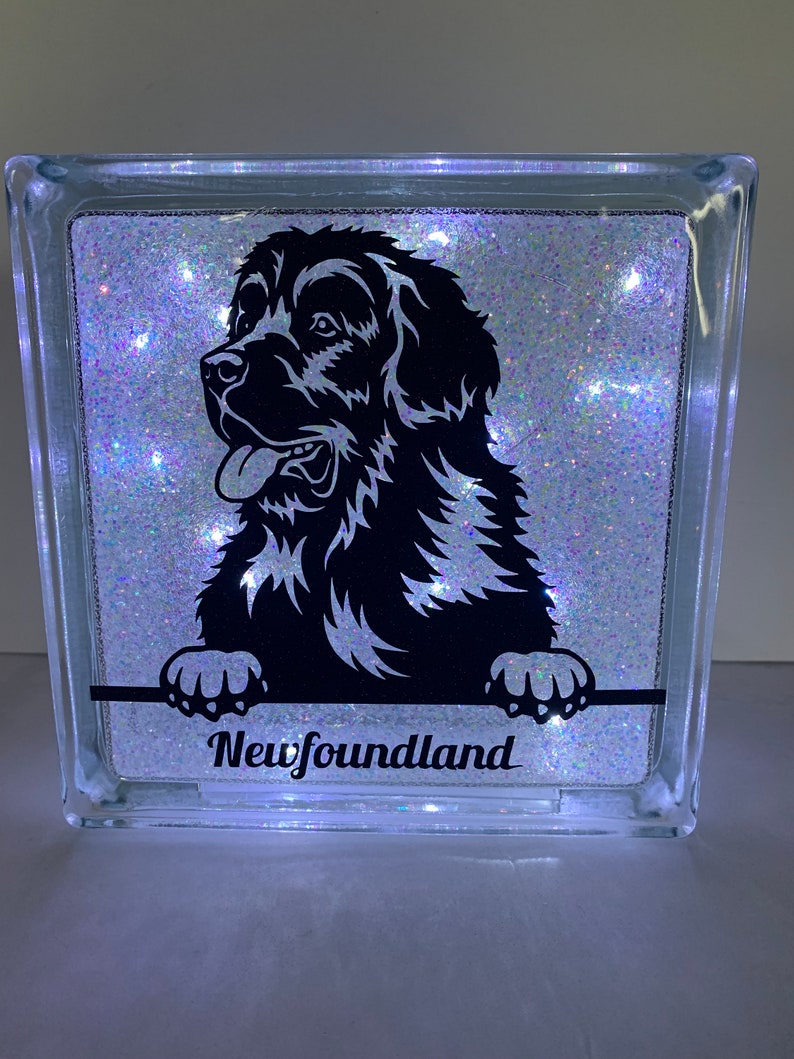 Home & Living Night Lights Battery Operated Bills Mafia Decorative ...