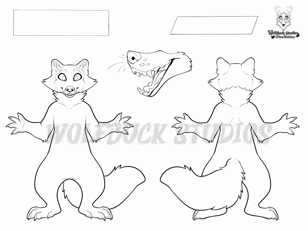 Raccoon Ref Sheet Base - Etsy