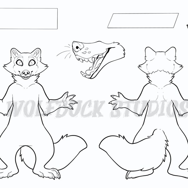 Furry Ref Sheet Raccoon - Etsy Israel