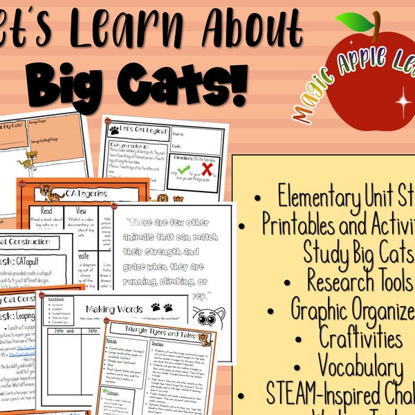 Bear Learning Activities, Bear Unit Study, Learn About Animals, Zoo ...