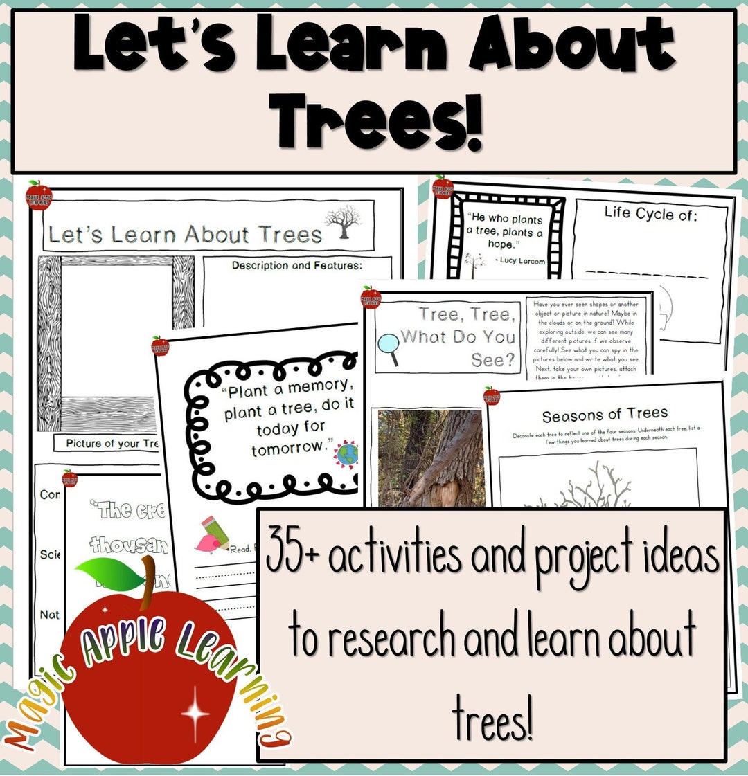 Tree Unit Study, Learn About Trees, Nature Study, Science, Environment ...