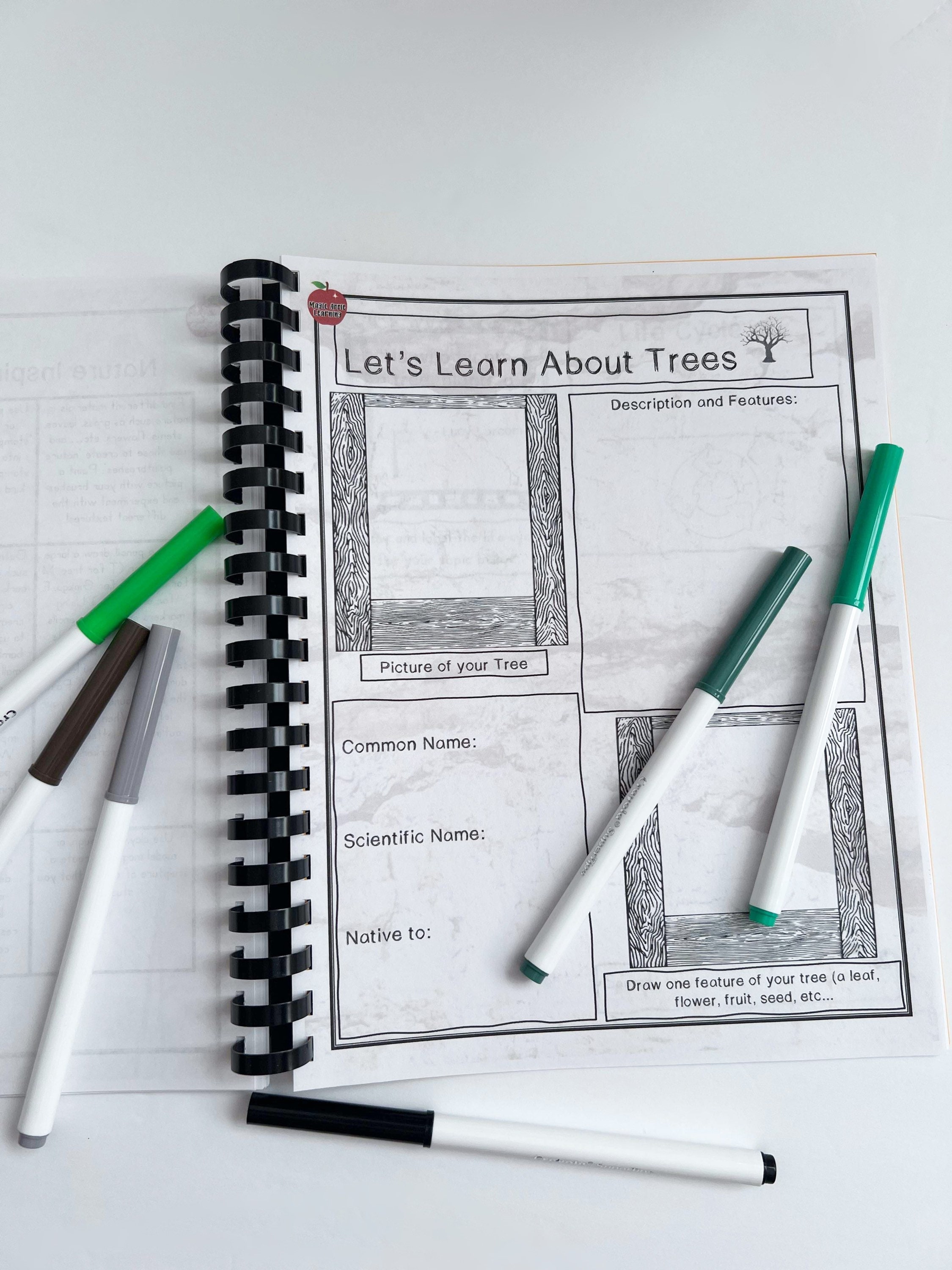 Tree Unit Study, Learn About Trees, Nature Study, Science, Environment ...