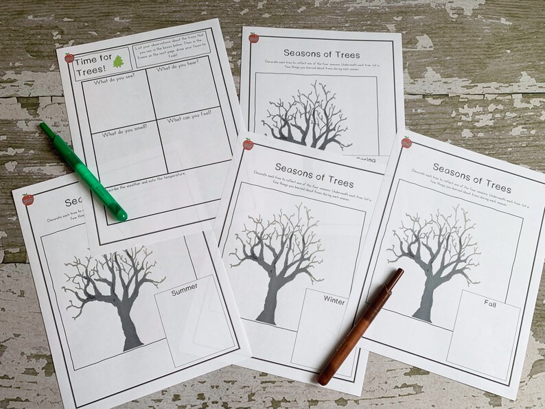 Tree Unit Study, Learn About Trees, Nature Study, Science, Environment ...