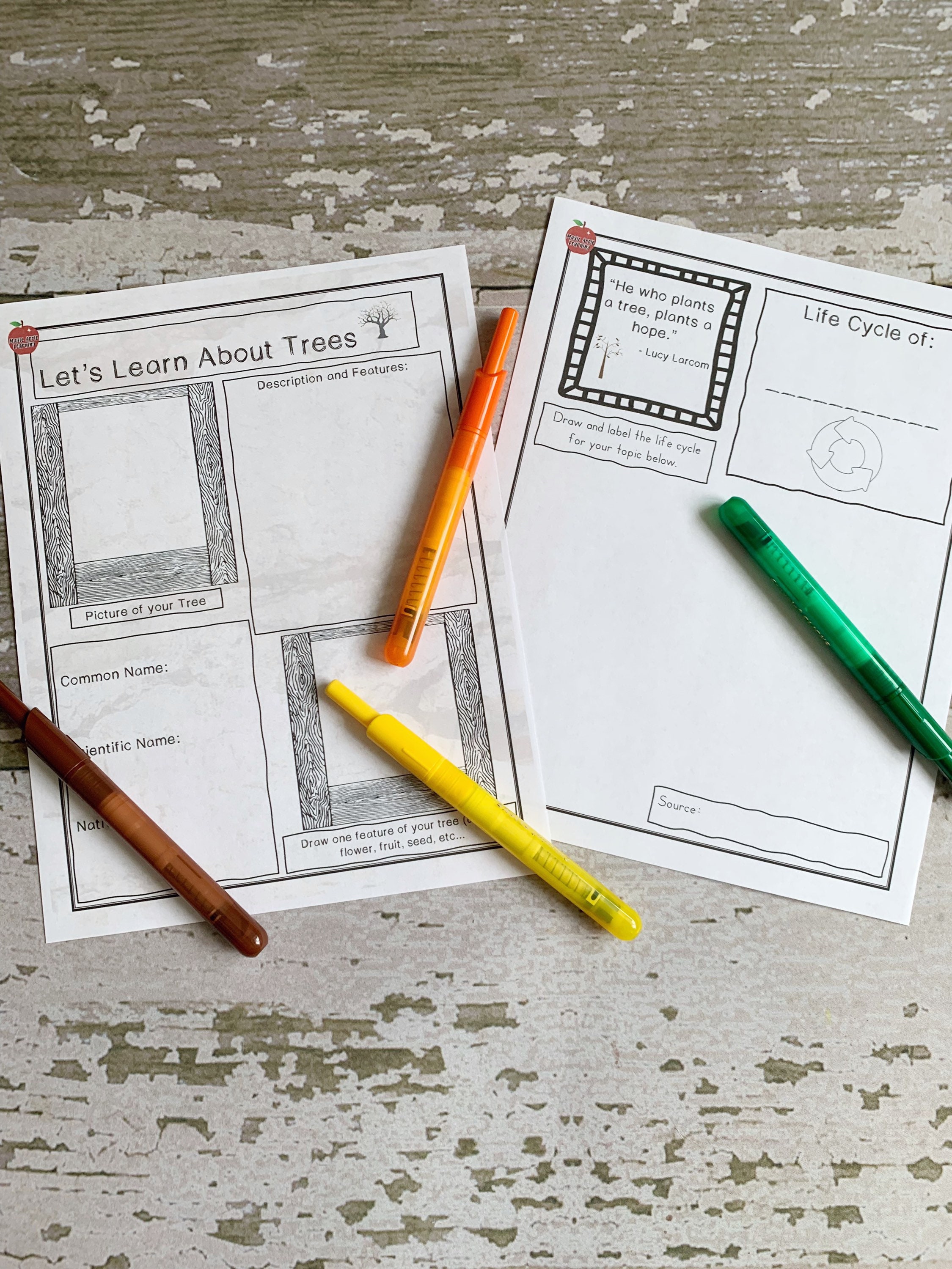 Tree Unit Study, Learn About Trees, Nature Study, Science, Environment ...