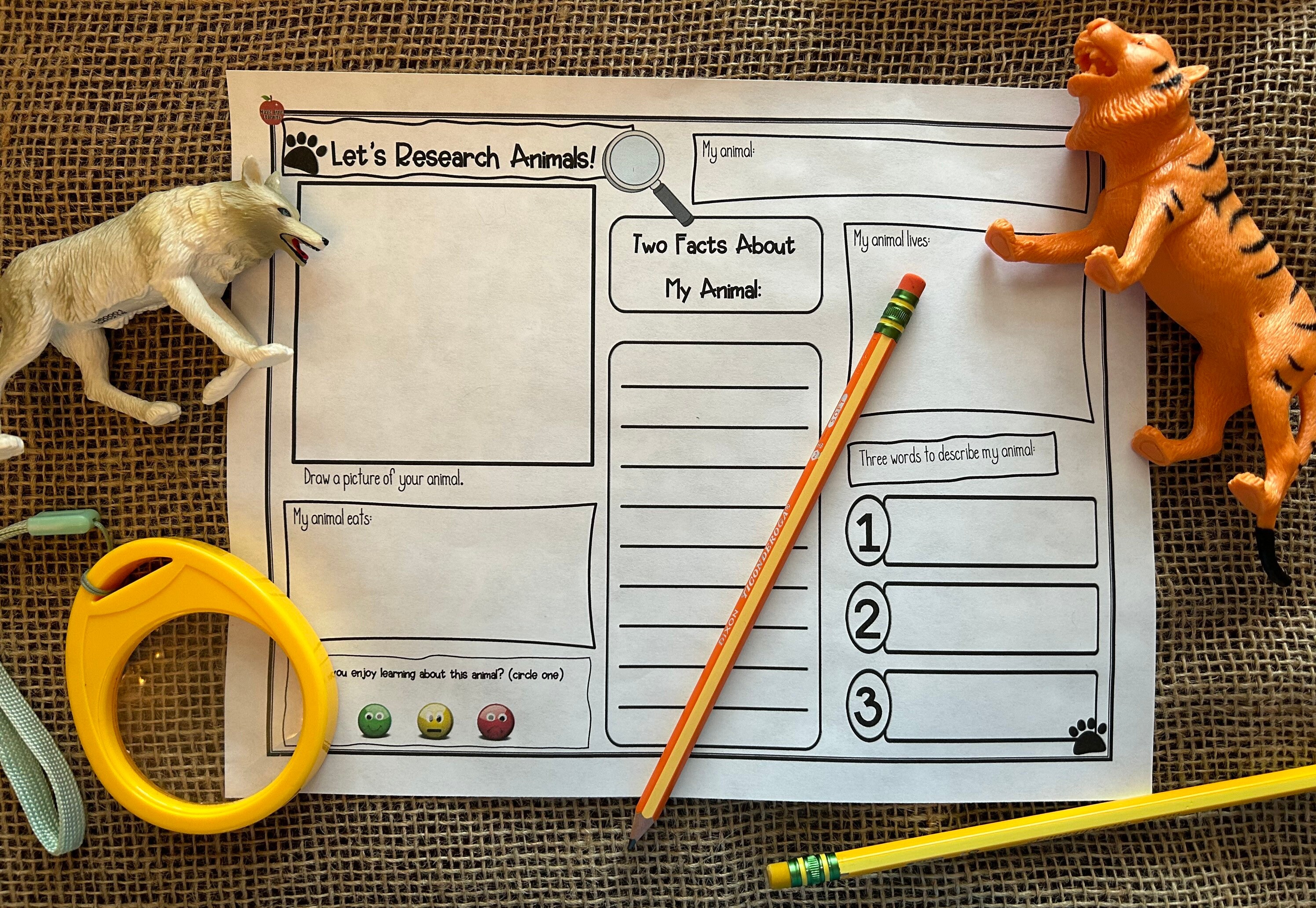 Research Animals, Animal Study, Animal Unit Study, Learn About Animals ...