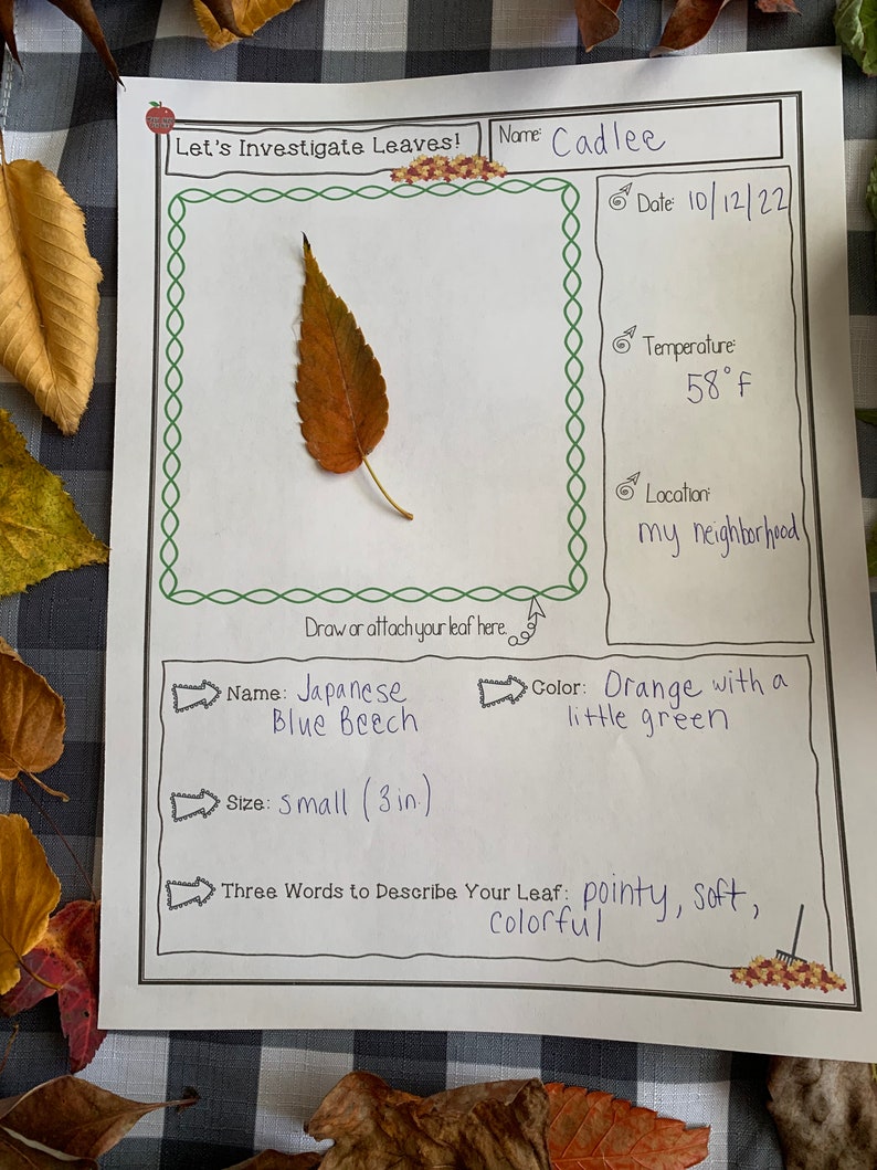 The Leaf Thief Book Companion, Fall Picture Book Study, Activities for ...