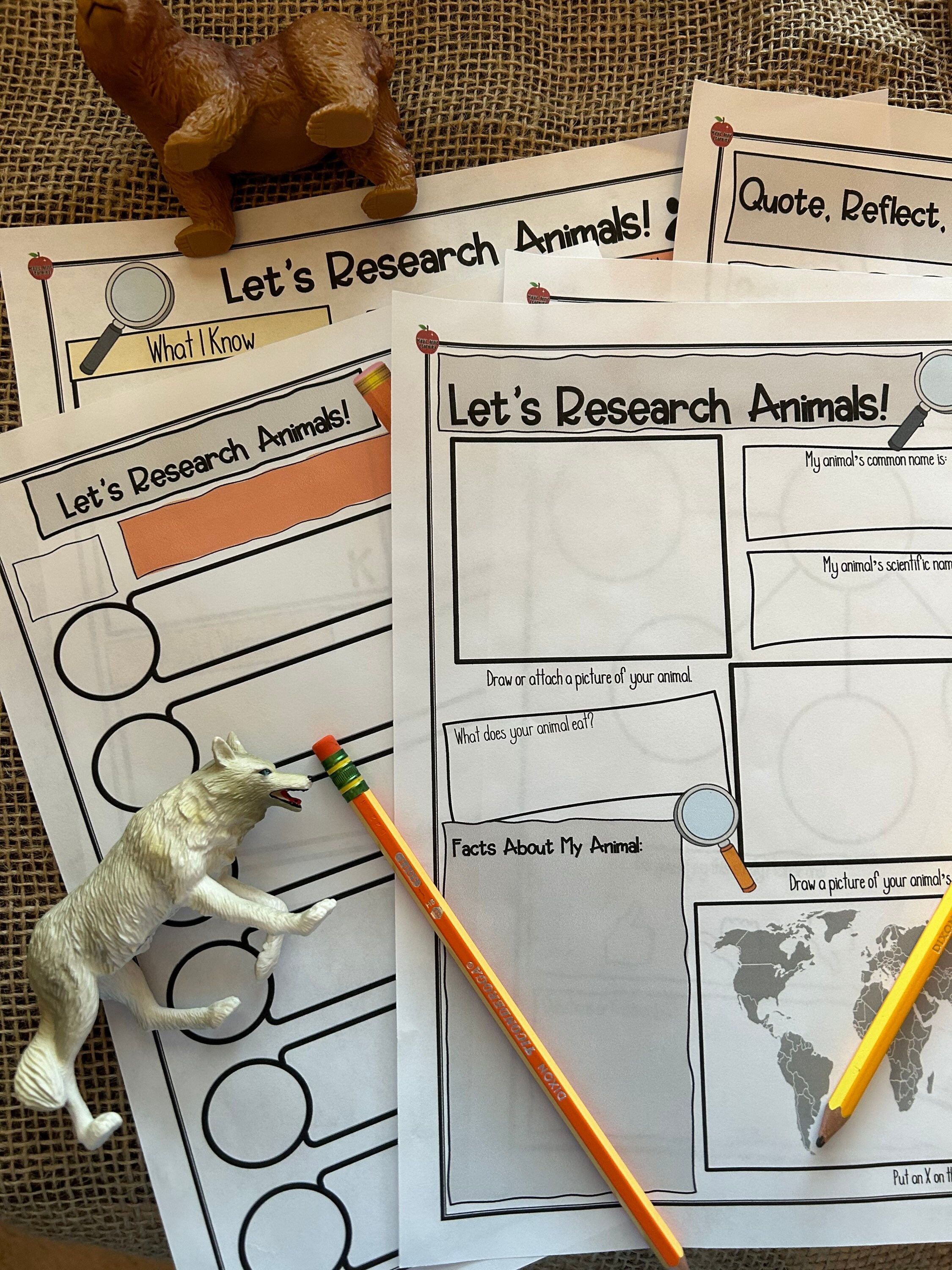 Research Animals, Animal Study, Animal Unit Study, Learn About Animals ...