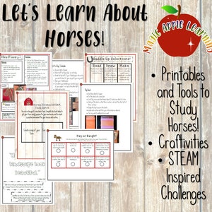 Learning About Horses, Horse Activities, Farm Animals, Animal ...
