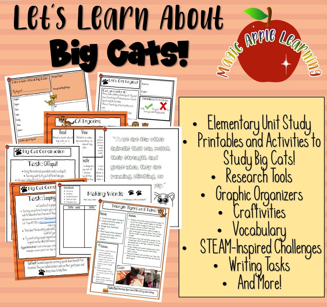 Big Cats Unit Study, Animal Themed Learning Activities, Wild Cats ...