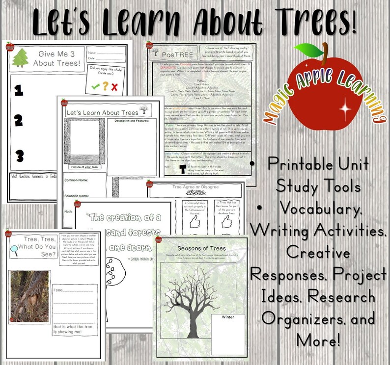 Tree Unit Study Learn About Trees Nature Study Science - Etsy