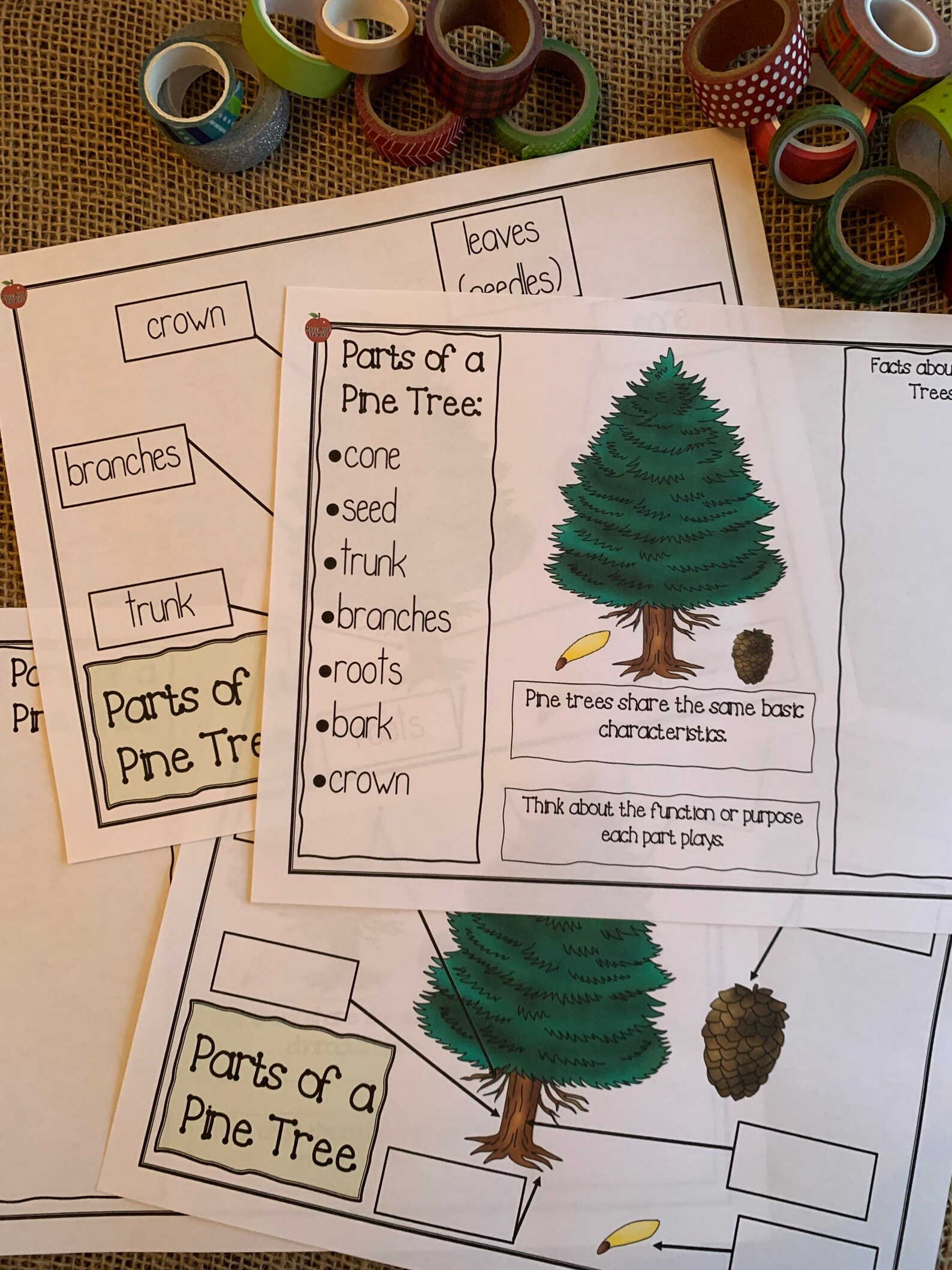 Pick a Pine Tree Book Companion | Christmas Book Study | Learn About ...