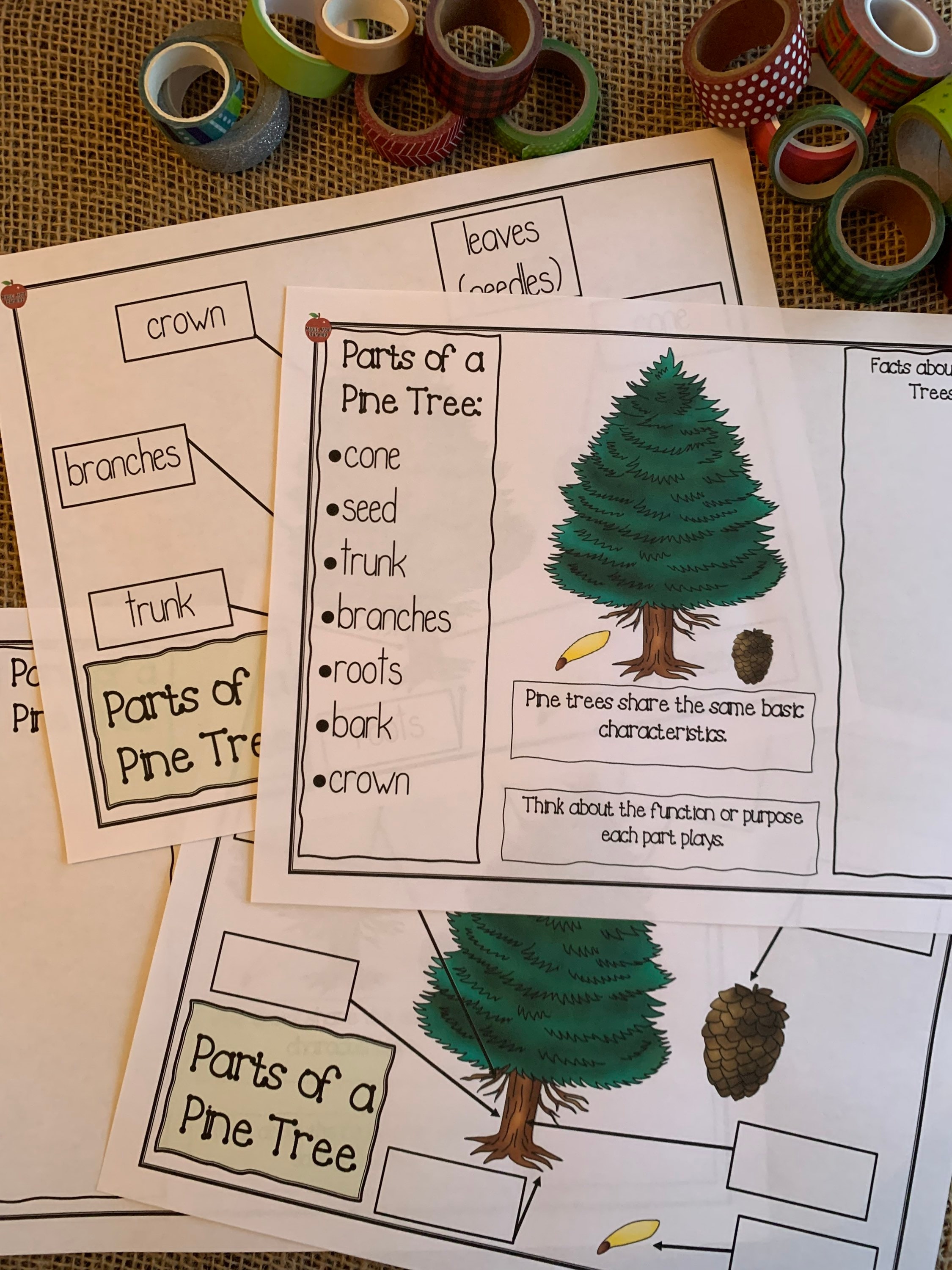 Pick a Pine Tree Book Companion | Christmas Book Study | Learn About ...