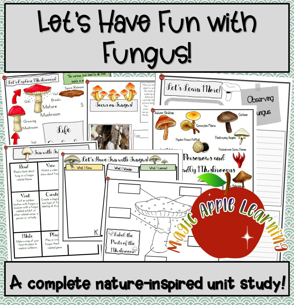 Fungus Unit Study, Science Unit Study, Nature Study, Learning ...