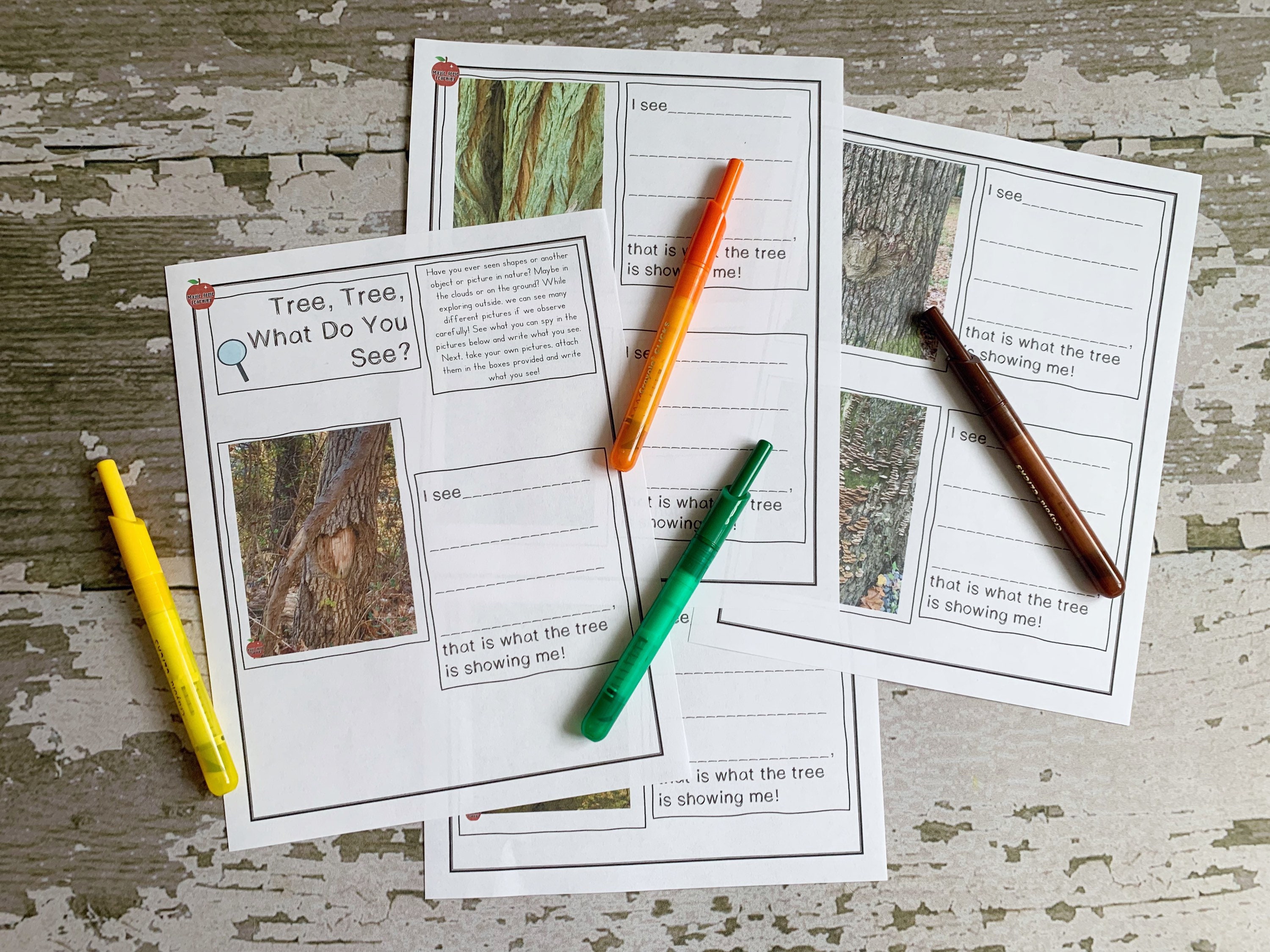 Tree Unit Study, Learn About Trees, Nature Study, Science, Environment ...