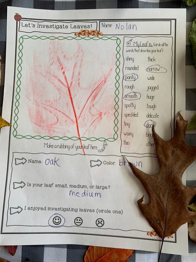 The Leaf Thief Fall Picture Book Study - Etsy Canada