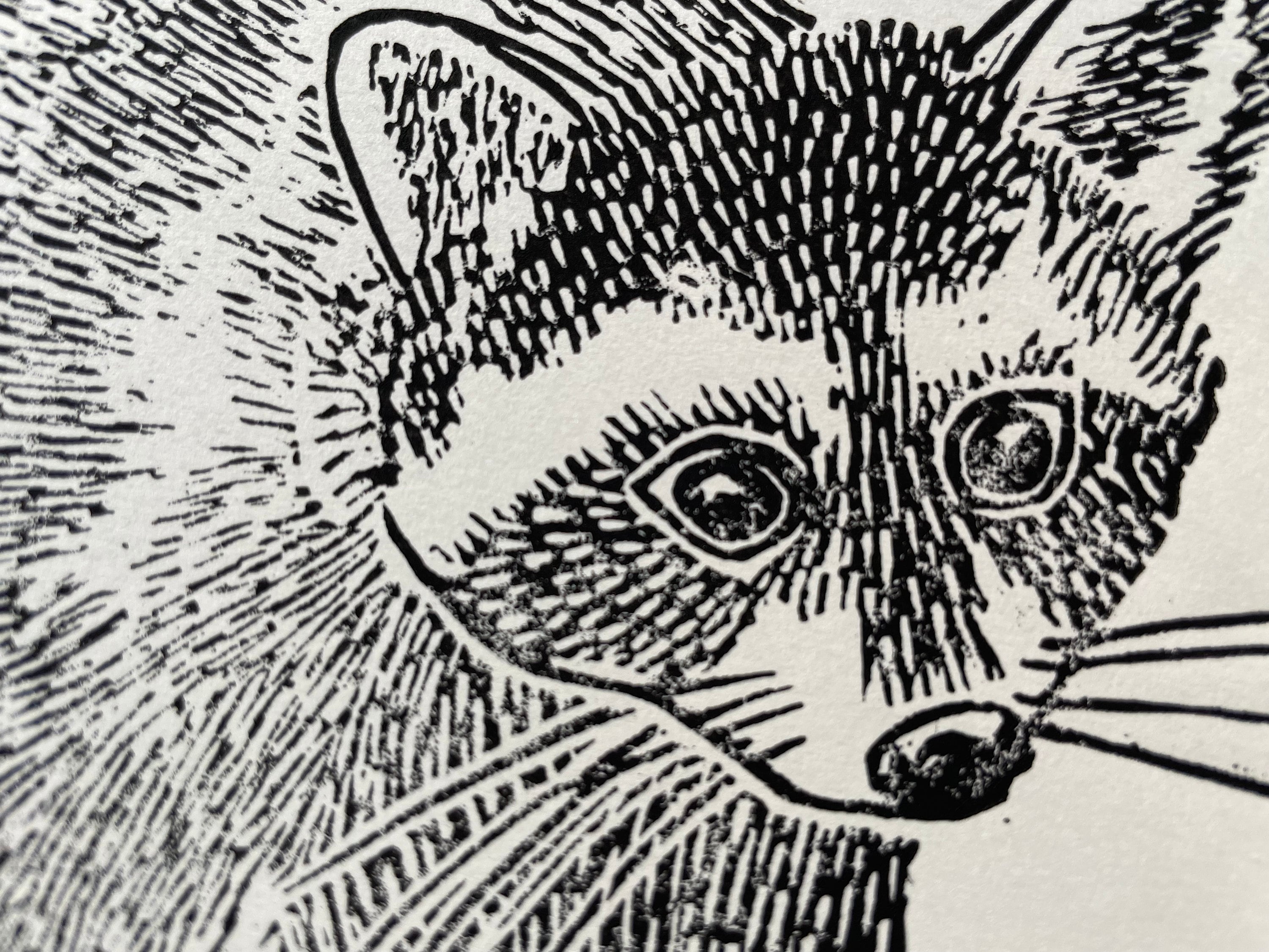 Raccoon- Original Linocut Print - Etsy