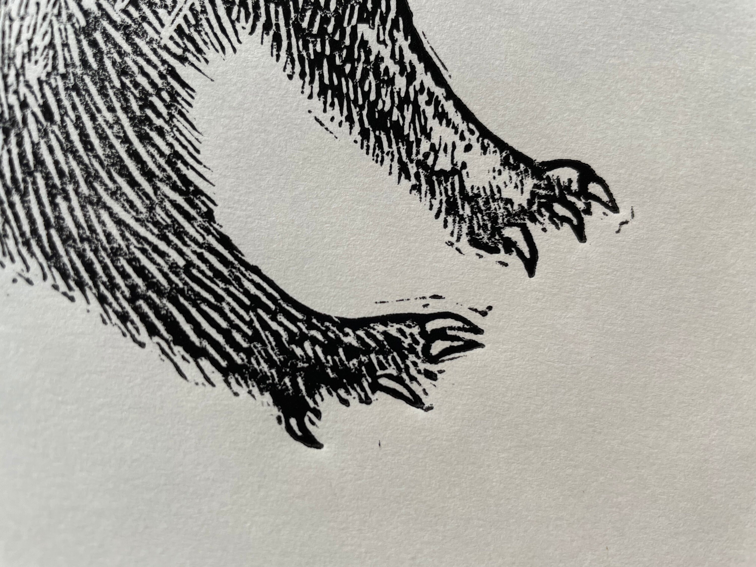 Raccoon Original Linocut Print - Etsy