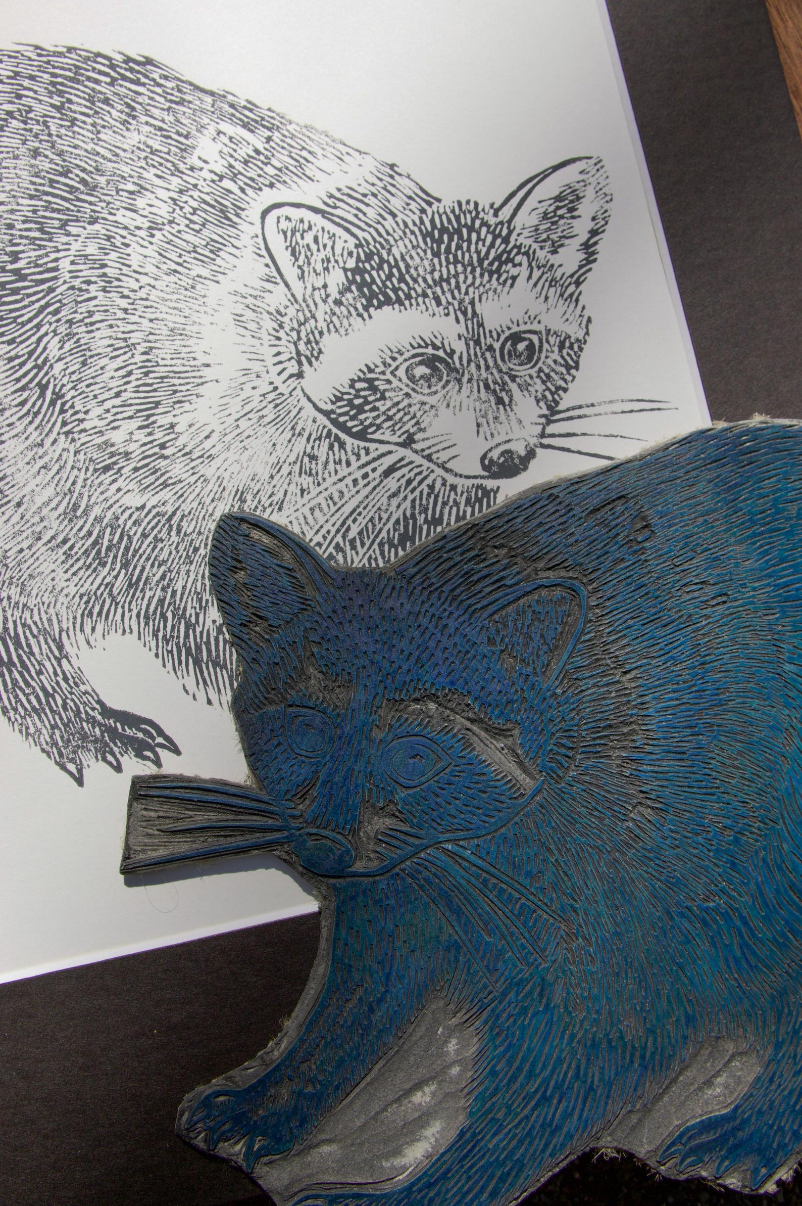 Raccoon- Original Linocut Print - Etsy