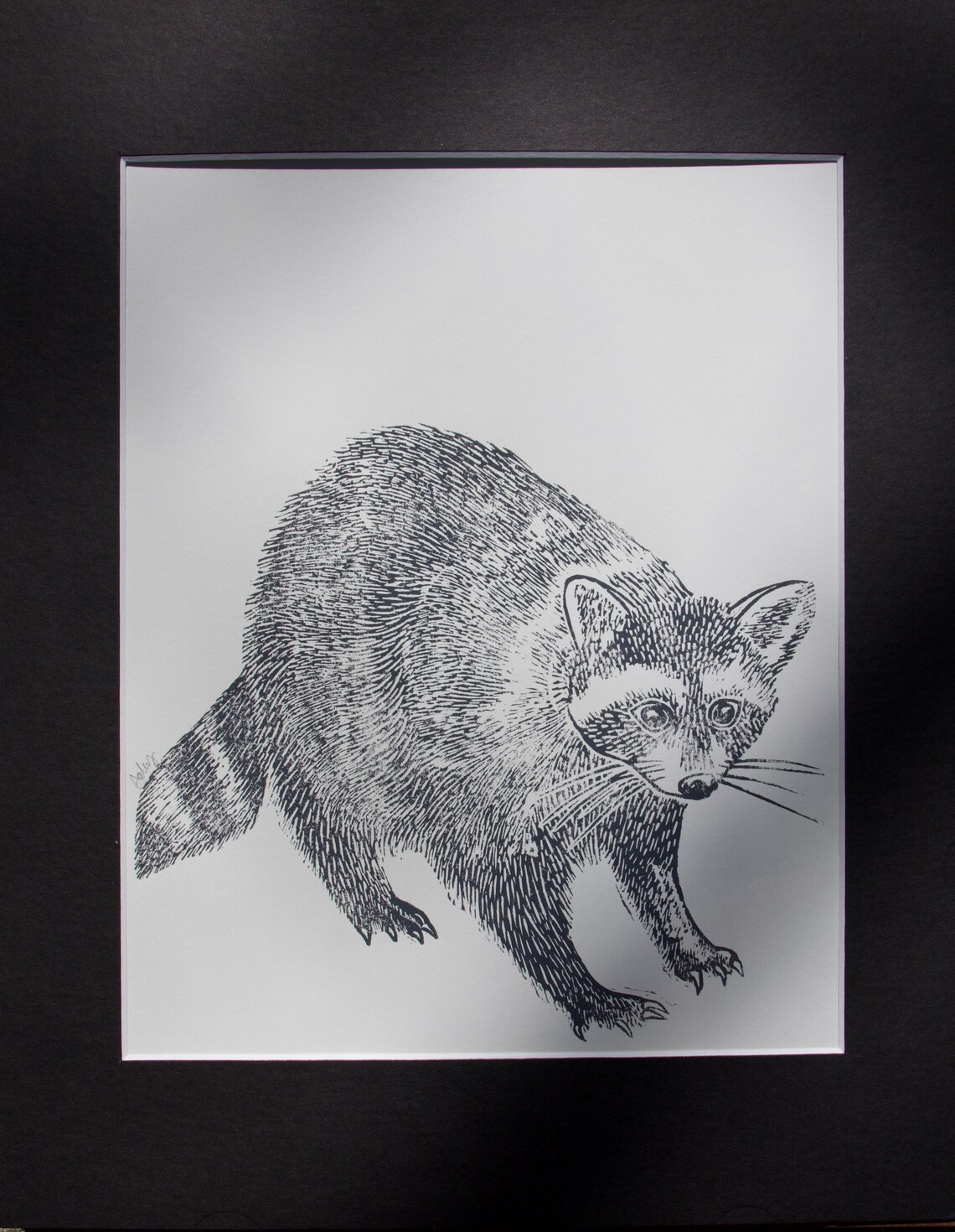 Raccoon- Original Linocut Print - Etsy