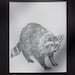 Raccoon- Original Linocut Print - Etsy
