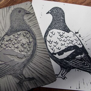 Pigeon - Original Linocut Print - Etsy