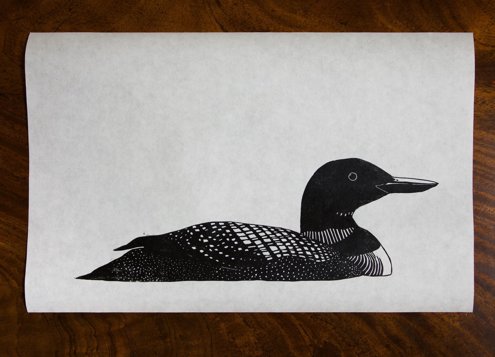 Loon - Original Linocut Print - Etsy