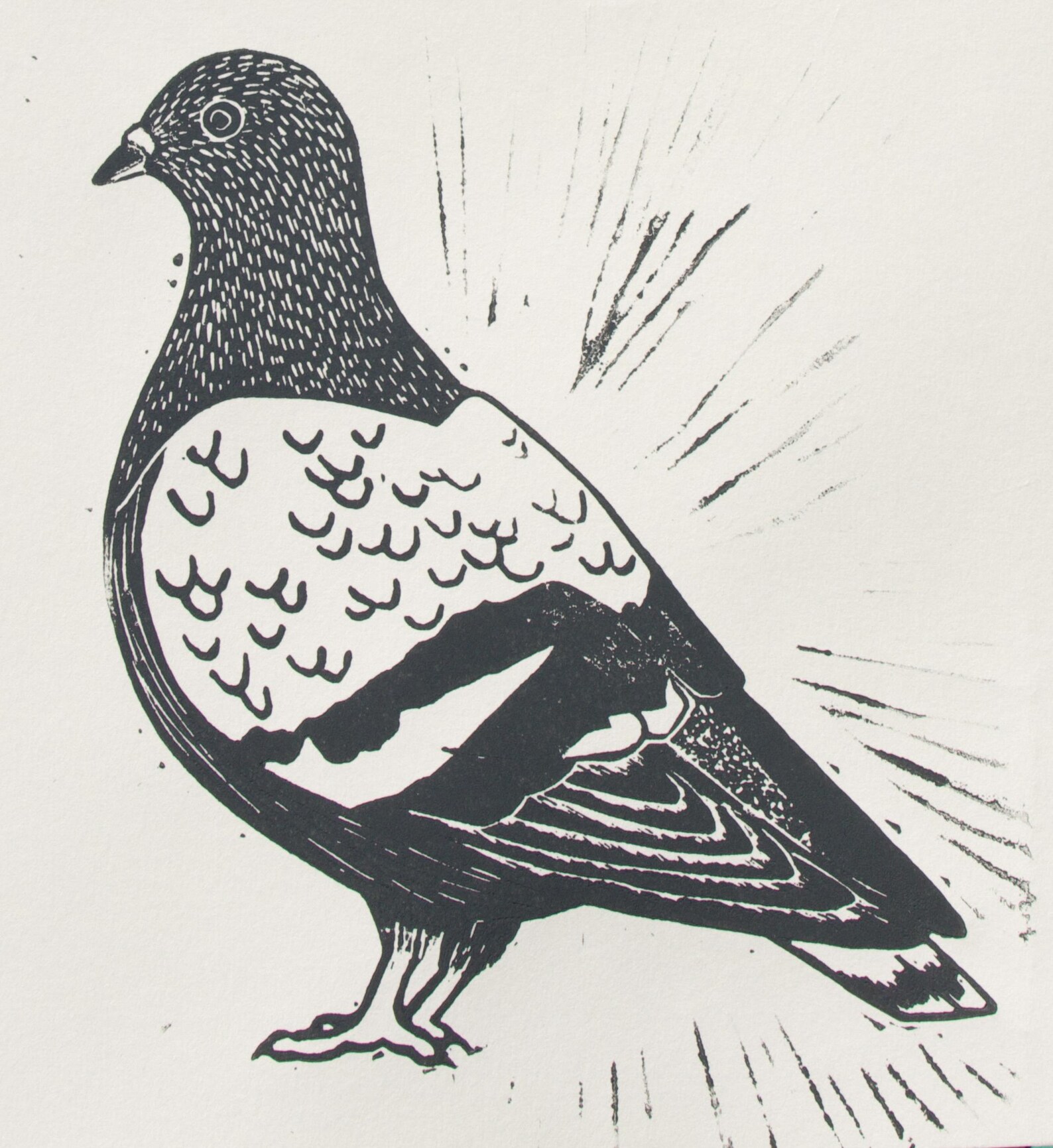 Pigeon - Original Linocut Print - Etsy